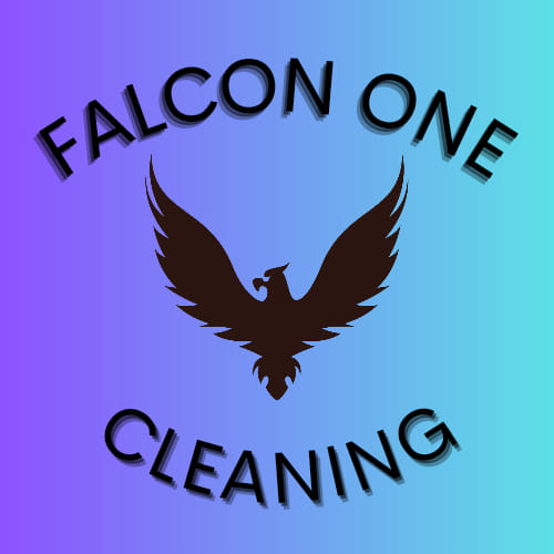 Falcon One Cleaning